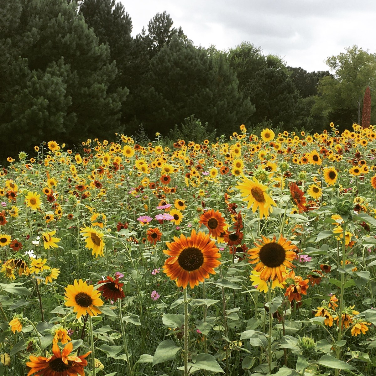 Contact – Soul Geography